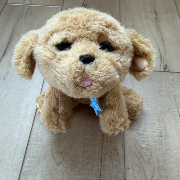 Little Live Pets | Toys | Little Live Pets Snuggles My Dream Puppy ...